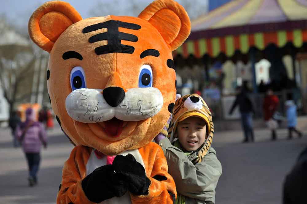 Das Jahr des Tigers hat begonnen - Kleine Kinderzeitung