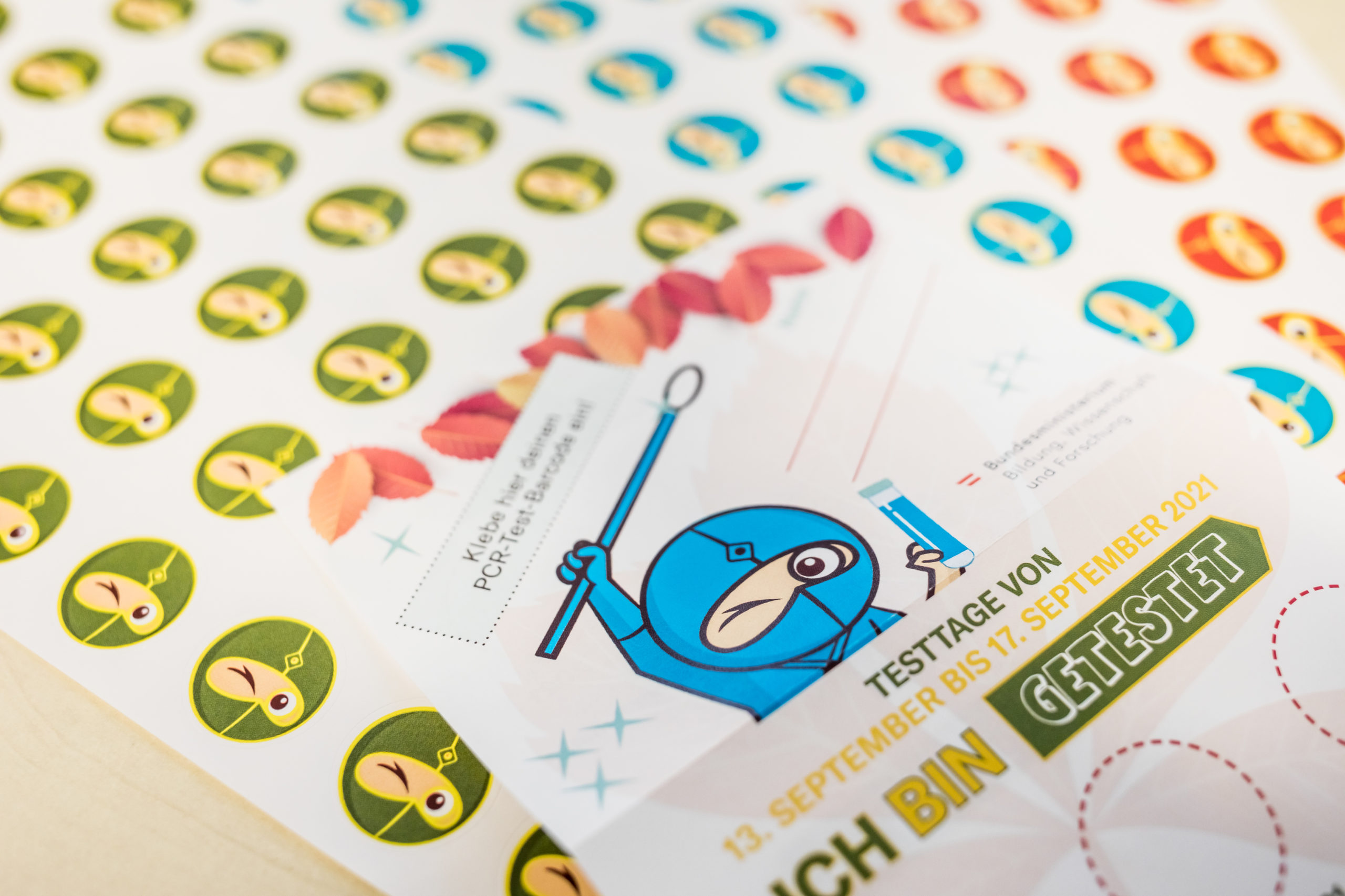 Corona: Darum endet der Ninja-Pass in Schulen - Kleine Kinderzeitung